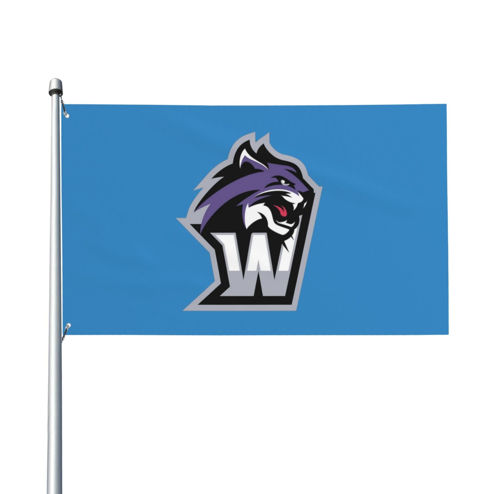 Wiley College Logo Flag 3x5 Outdoor ,Sewn Stripes, Stronger Brass ...