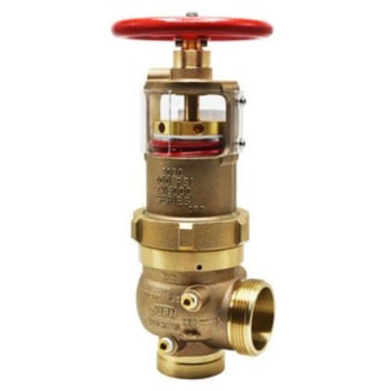 Wilkins WZW5000GL 2.5 in. Pressure Tru Field Adjustable Pressure ...