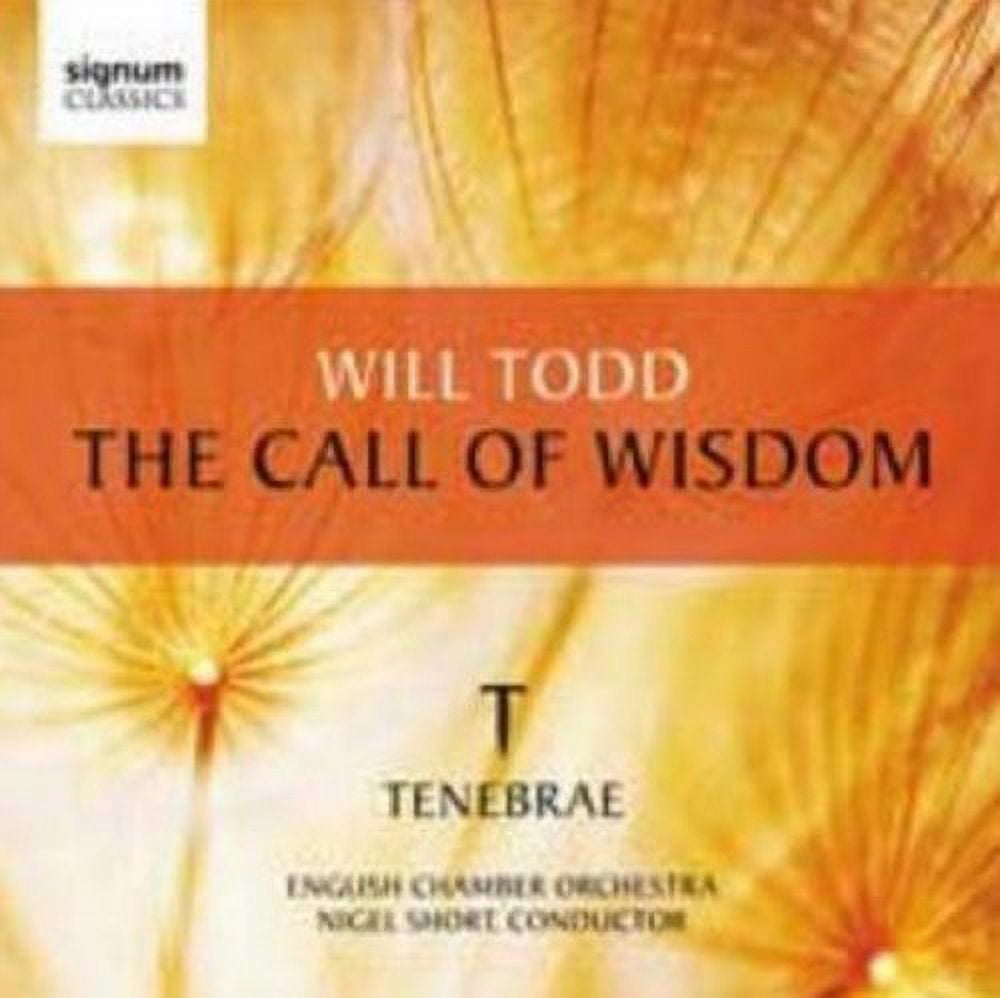 Pre-Owned - Will Todd Call of Wisdom (2012) - Walmart.com