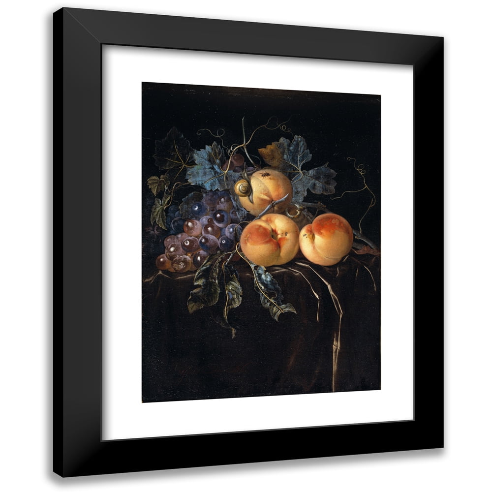 Willem van Aelst 19x24 Black Modern Framed Museum Art Print Titled ...