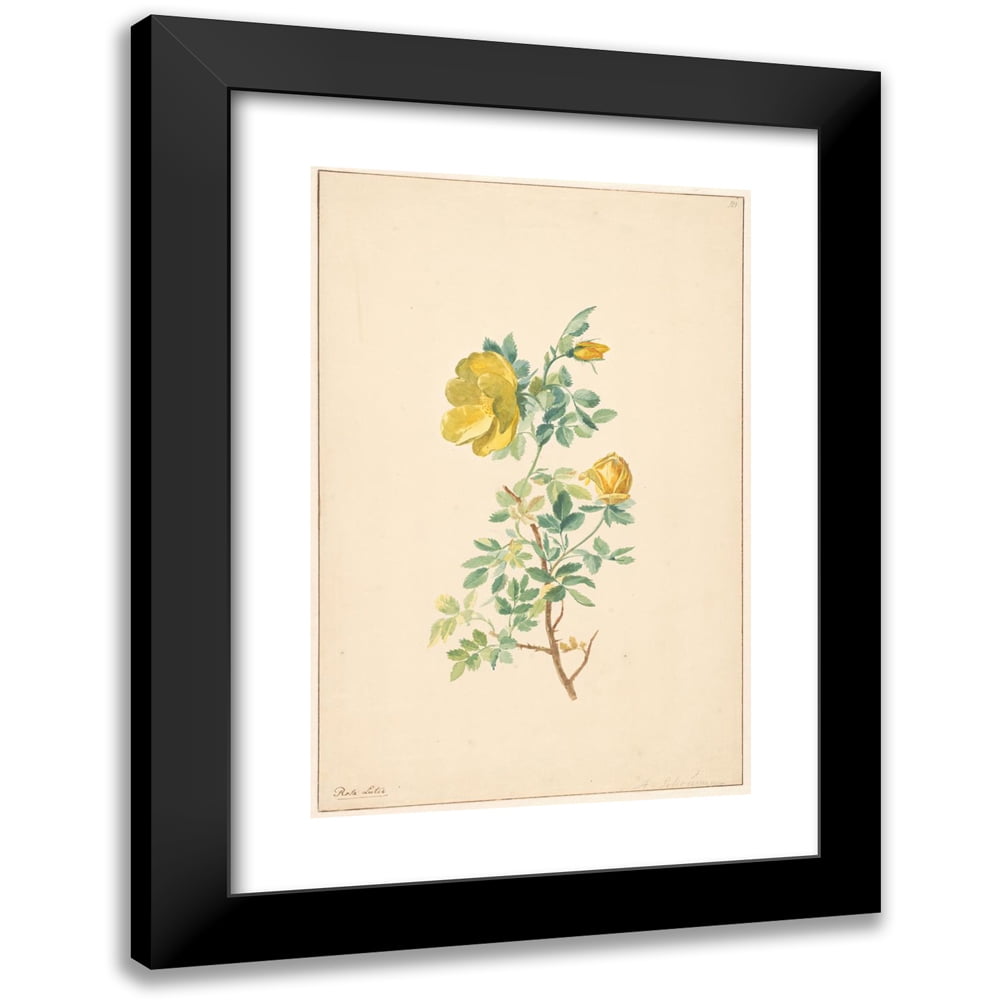 Willem van Leen 11x14 Black Modern Framed Museum Art Print Titled ...