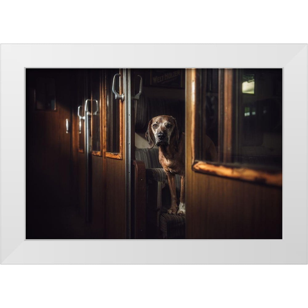 Willers, Heike 24x17 White Modern Wood Framed Museum Art Print Titled ...