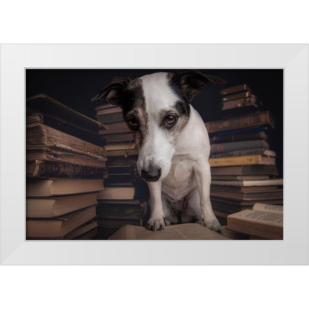 Willers, Heike 24x17 White Modern Wood Framed Museum Art Print Titled ...