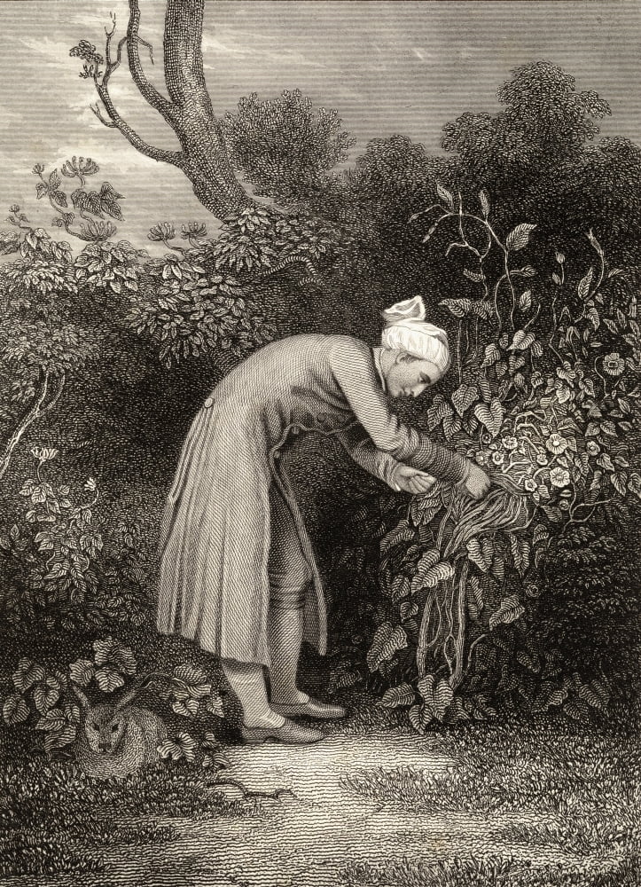 William Cowper 1731-1800 Cowper In His Garden Enlgish Poet 19Th Century From An Original Drawing ...