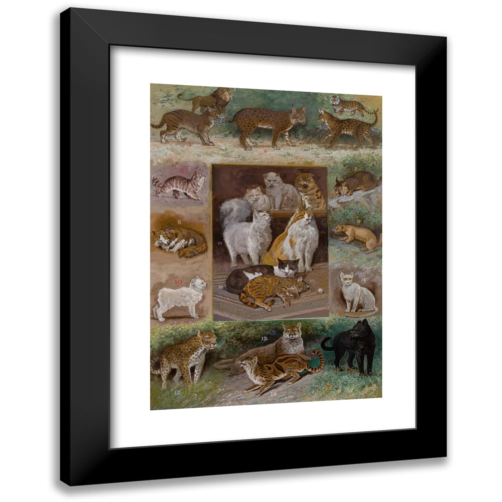 William Henry Drake 14x18 Black Modern Framed Museum Art Print Titled ...