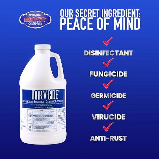 William Marvy Disinfectant, Fungicide, 64 Fl Oz - Walmart.com