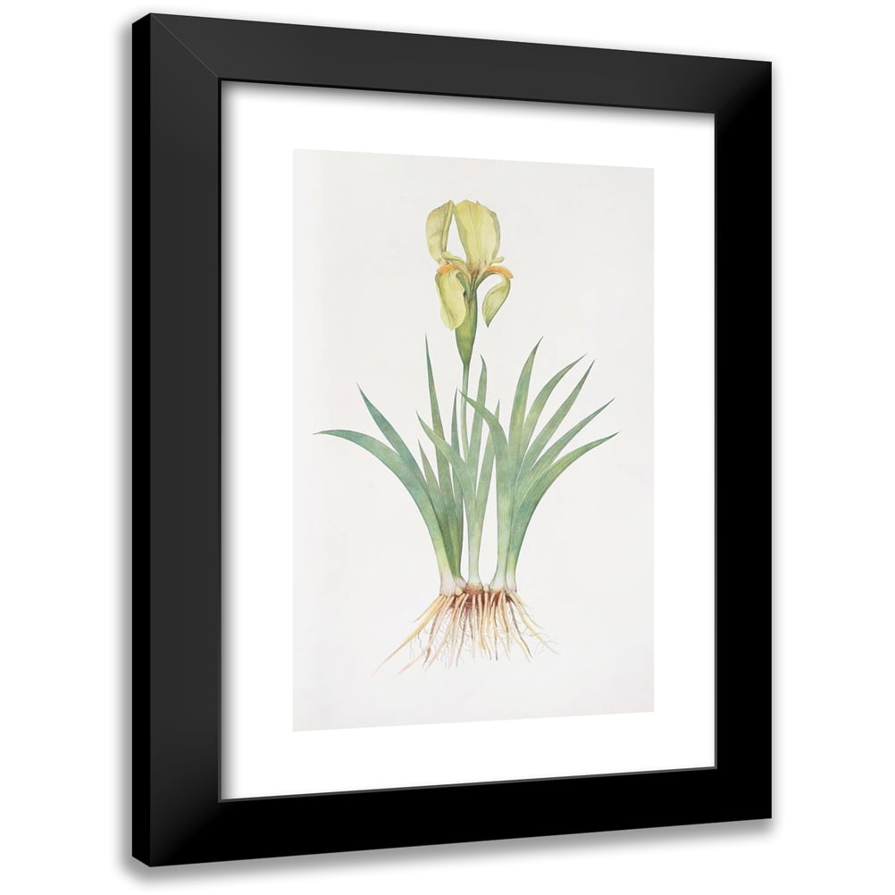 William Rickatson Dykes 10x14 Black Modern Framed Museum Art Print ...