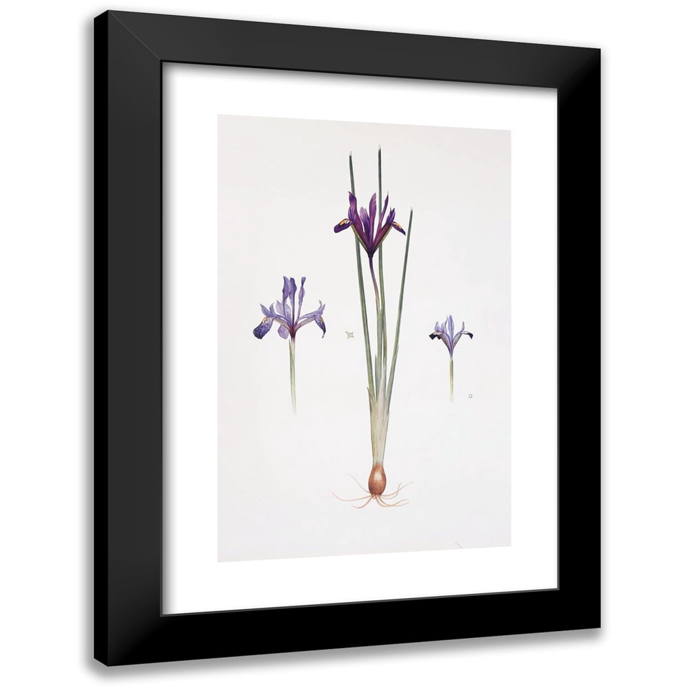 William Rickatson Dykes 17x24 Black Modern Framed Museum Art Print ...