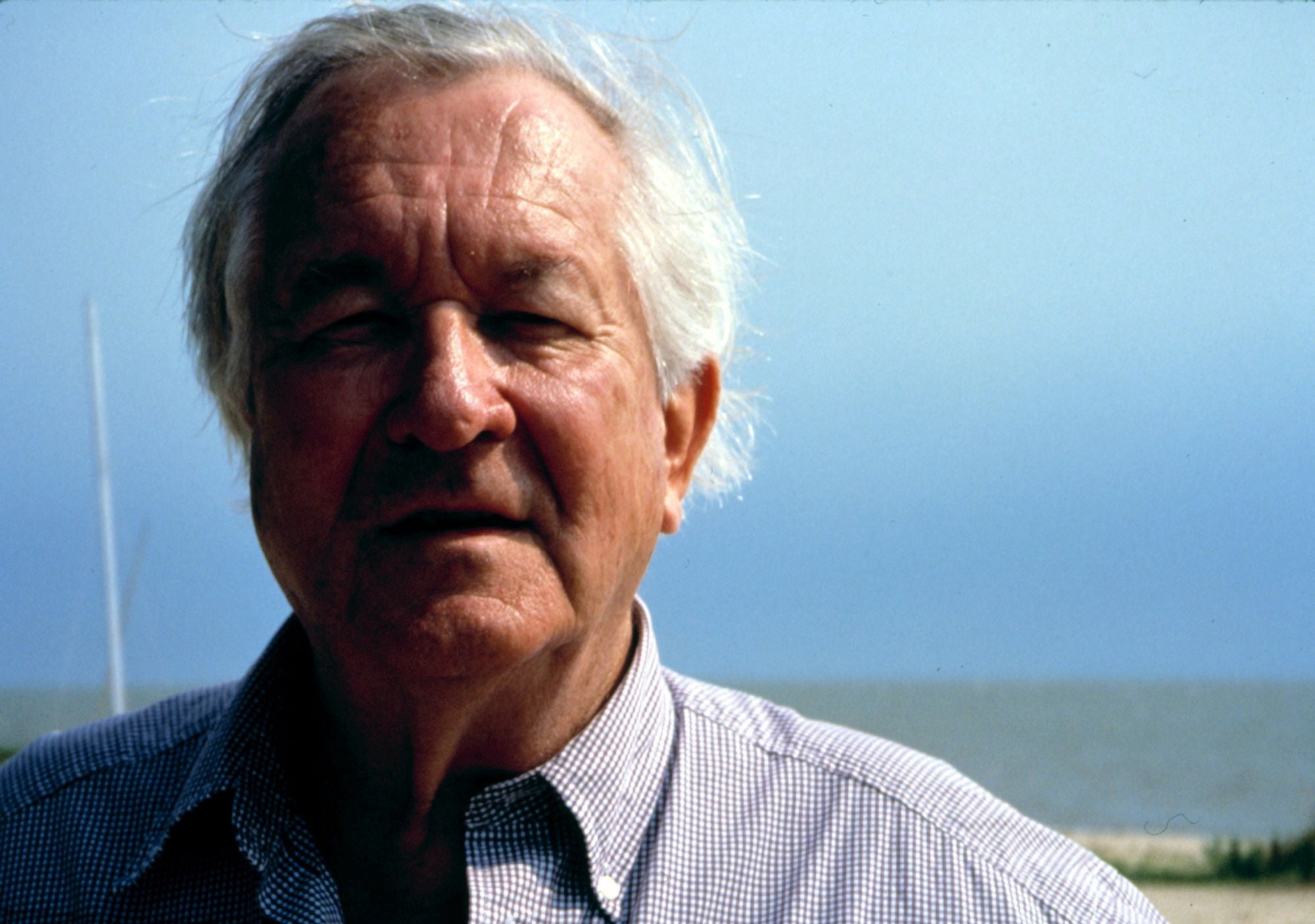 William Styron History (36 x 24) - Walmart.com