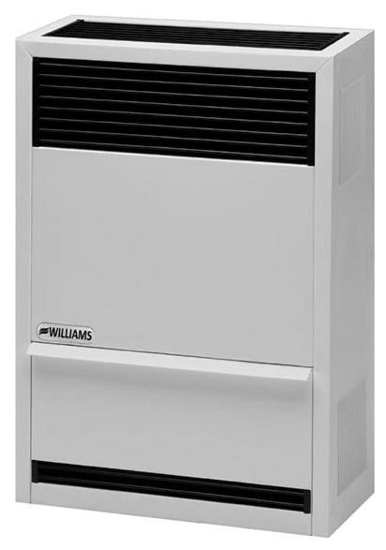 Williams 1403822 14,000 BTU 65% Afue Natural Gas Wall Mounted Heater ...