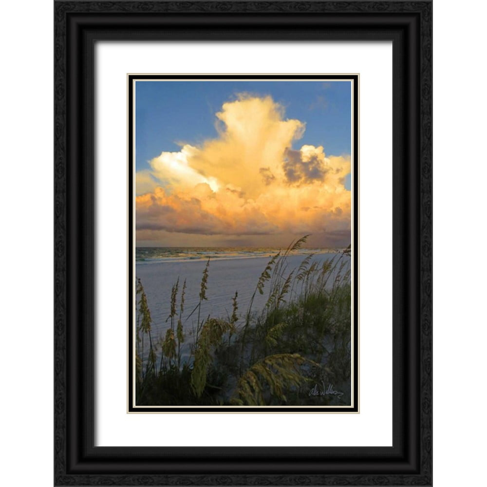 Williams, Alex 11x14 Black Ornate Wood Framed with Double Matting ...