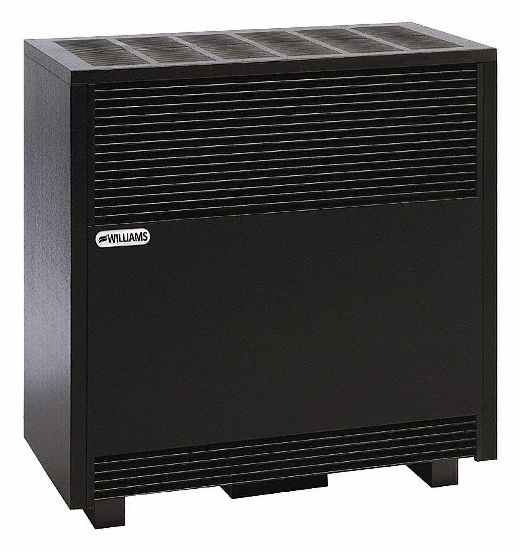 Williams Comfort Products Freestanding Gas Flr Heatr,NG,25000BtuH ...