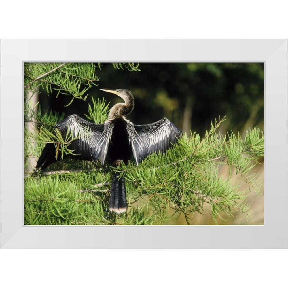 Williams, Joanne 18x13 White Modern Wood Framed Museum Art Print Titled ...