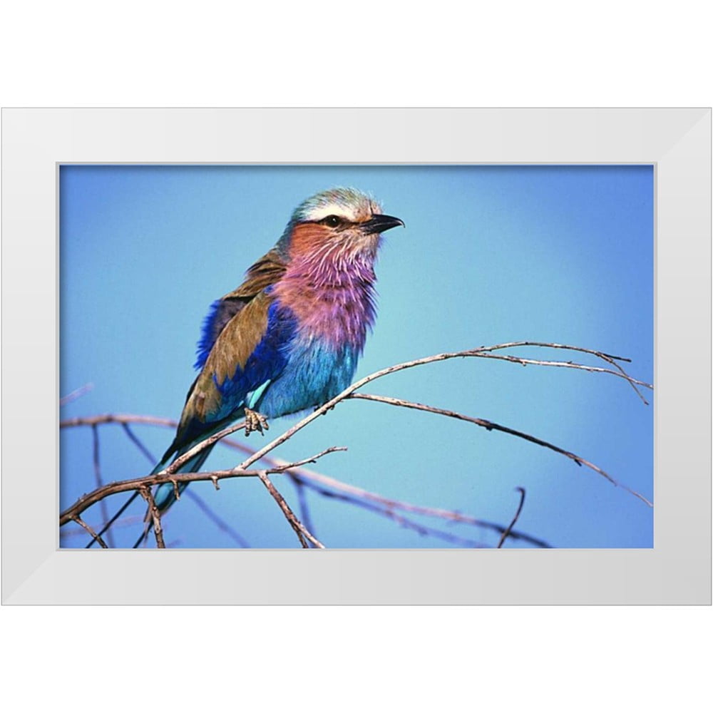 Williams, Joanne 18x13 White Modern Wood Framed Museum Art Print Titled ...