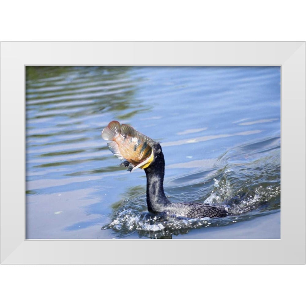 Williams, Joanne 24x18 White Modern Wood Framed Museum Art Print Titled ...