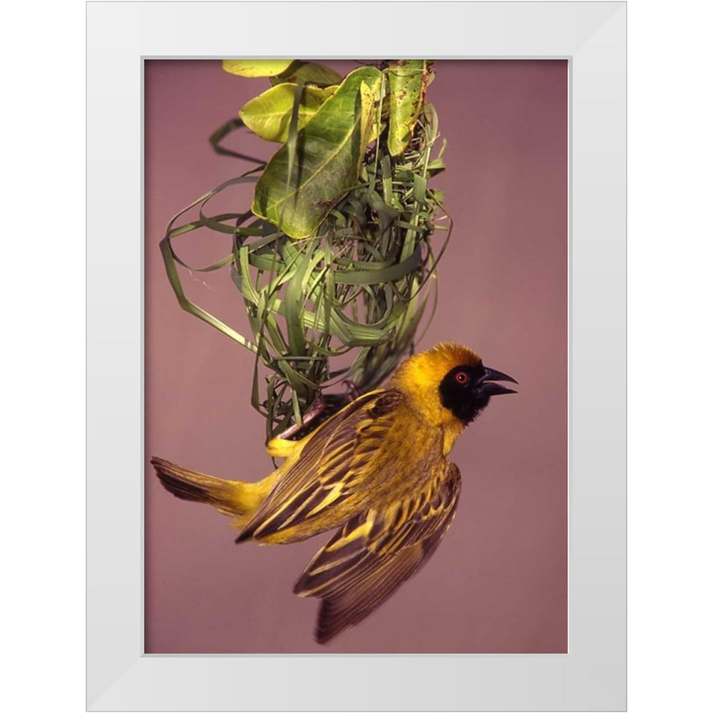 Williams, Joanne 24x32 White Modern Wood Framed Museum Art Print Titled ...