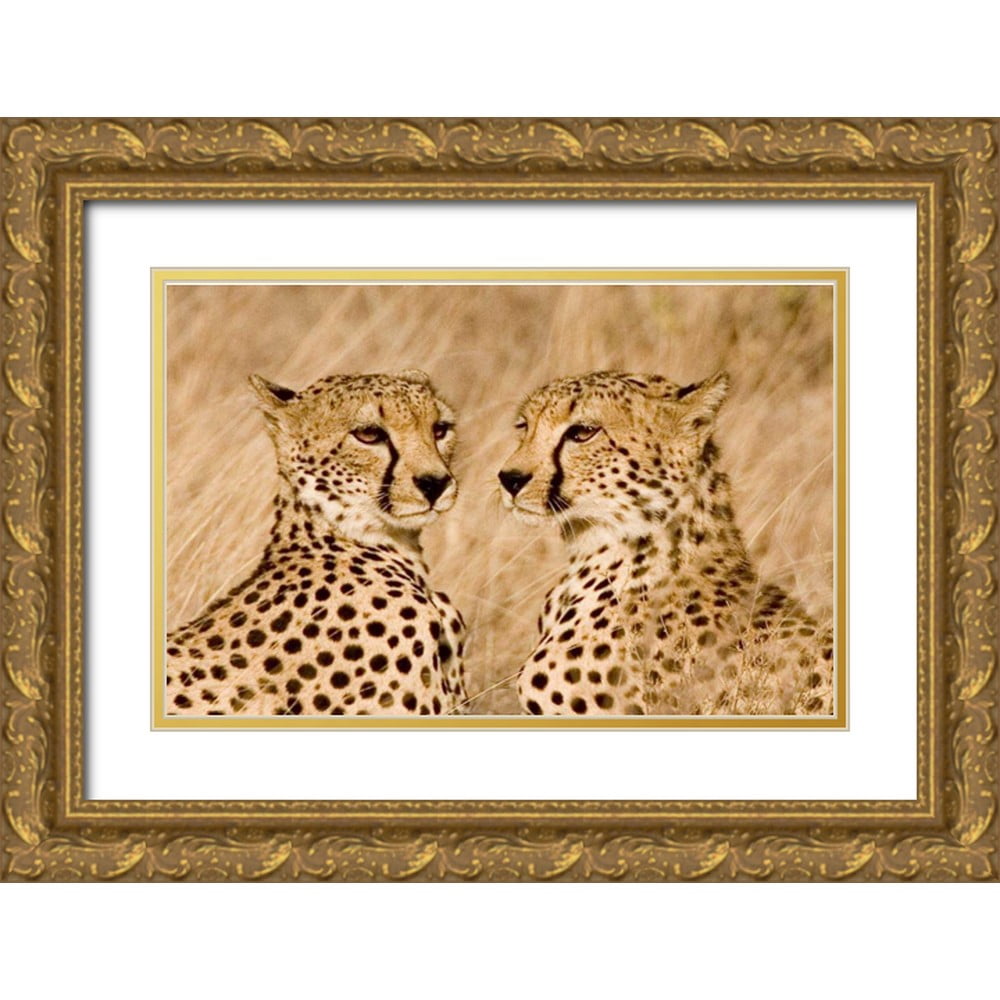Williams, Joanne 32x22 Gold Ornate Wood Framed with Double Matting ...