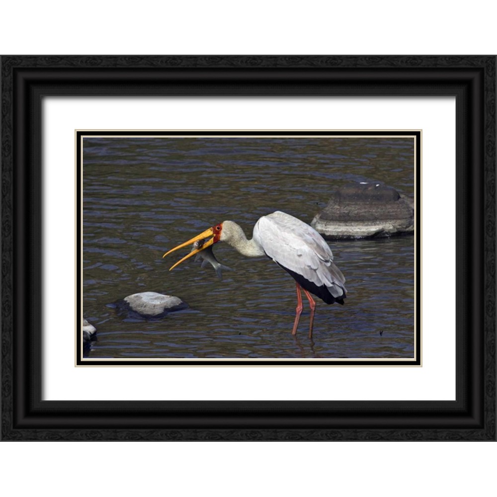Williams, Joanne 32x23 Black Ornate Wood Framed with Double Matting ...