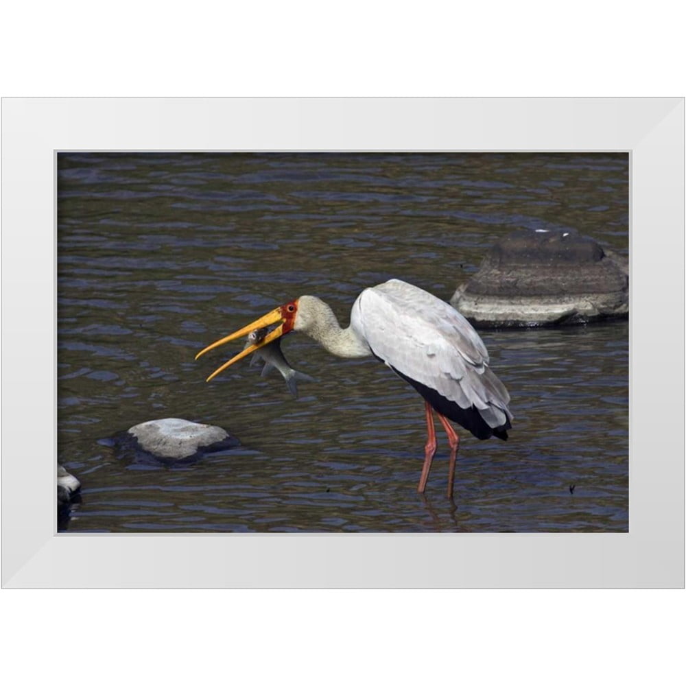 Williams, Joanne 32x23 White Modern Wood Framed Museum Art Print Titled ...