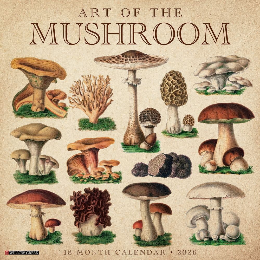 Willow Creek Press, Art of the Mushroom 2026 Wall Calendar, 12'' X 12 ...