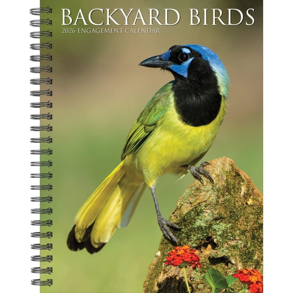 Willow Creek Press, Backyard Birds 2026 Engagement Planner, 7'' X 8.66 ...