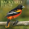Willow Creek Press, Birds Backyard 2025 Wall Calendar - Walmart.com