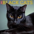 Willow Creek Press, Black Cats 2026 Wall Calendar, 12'' X 12'', 18 ...
