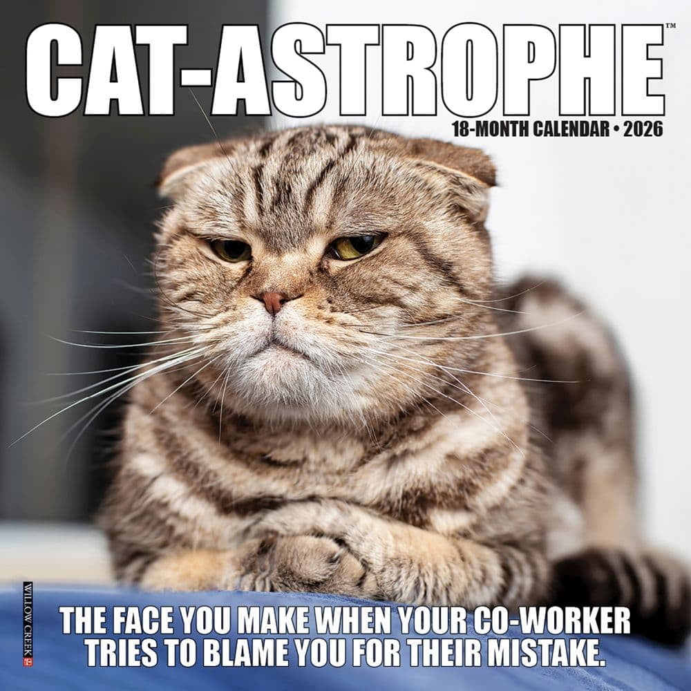 Willow Creek Press, Cat Astrophe 2026 Mini Wall Calendar, 7'' X 7'', 18 ...