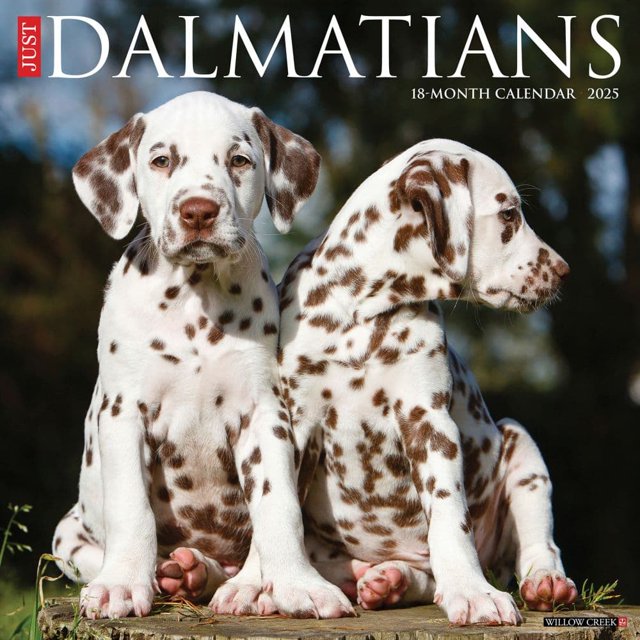 Willow Creek Press, Just Dalmatians 2025 Wall Calendar - Walmart.com