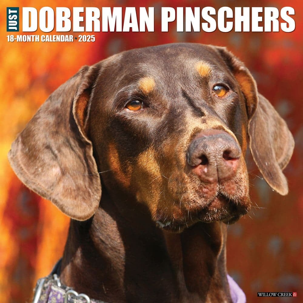 Willow Creek Press, Just Dobermans 2025 Wall Calendar - Walmart.com