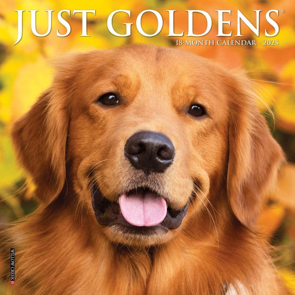 Willow Creek Press, Just Goldens 2025 Mini Wall Calendar - Walmart.com
