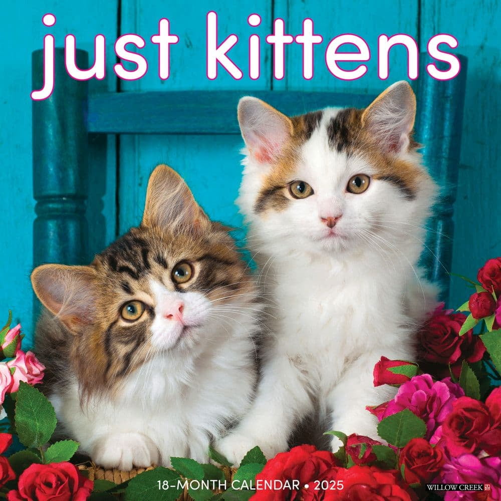Willow Creek Press, Just Kittens 2025 Wall Calendar - Walmart.com