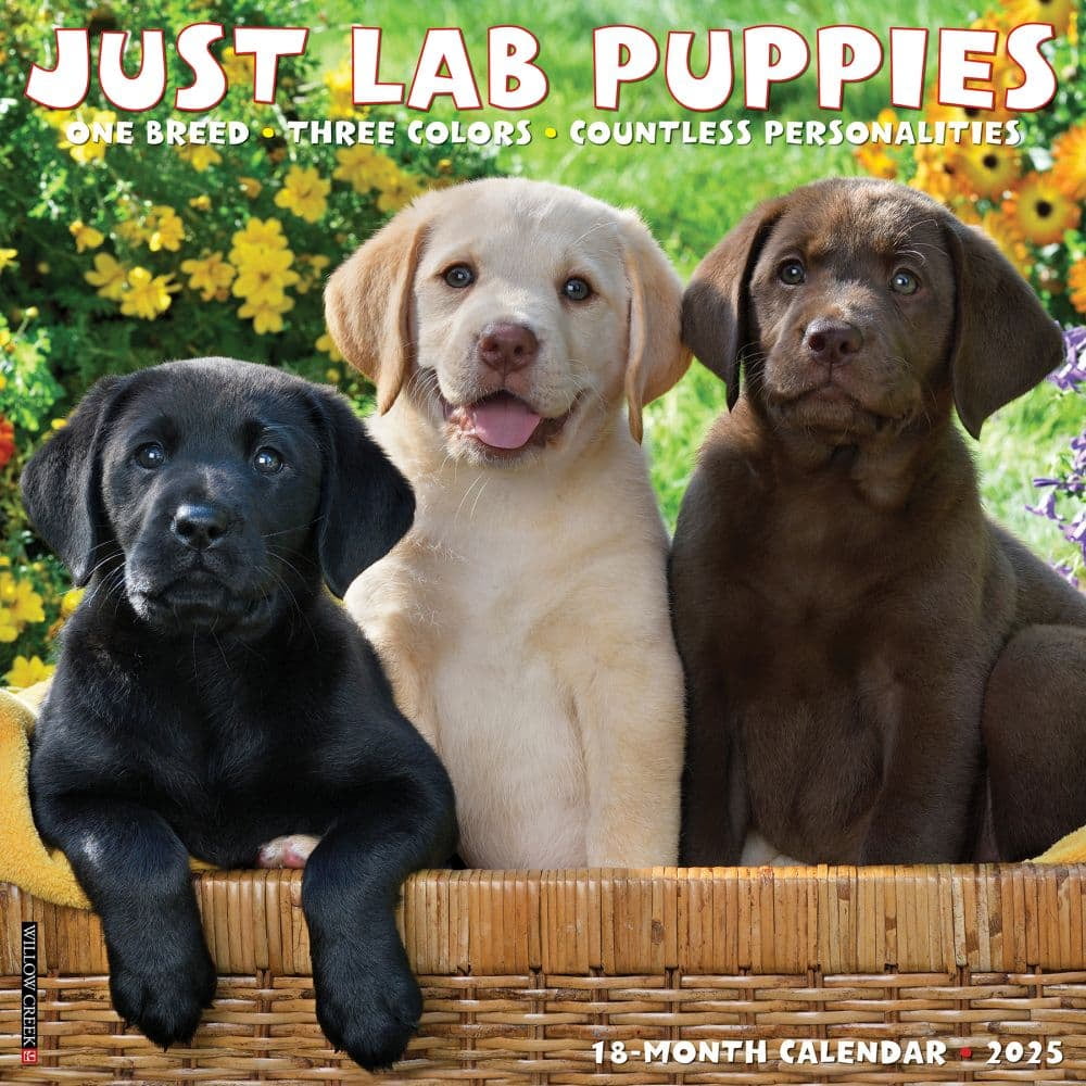 Lab Calendar