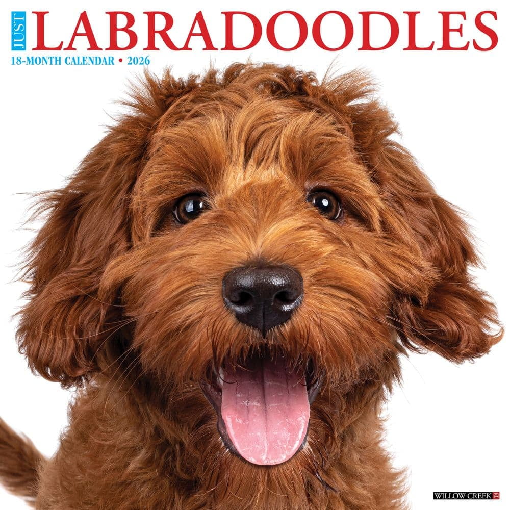 Willow Creek Press, Just Labradoodles 2026 Wall Calendar, 12'' X 12 ...