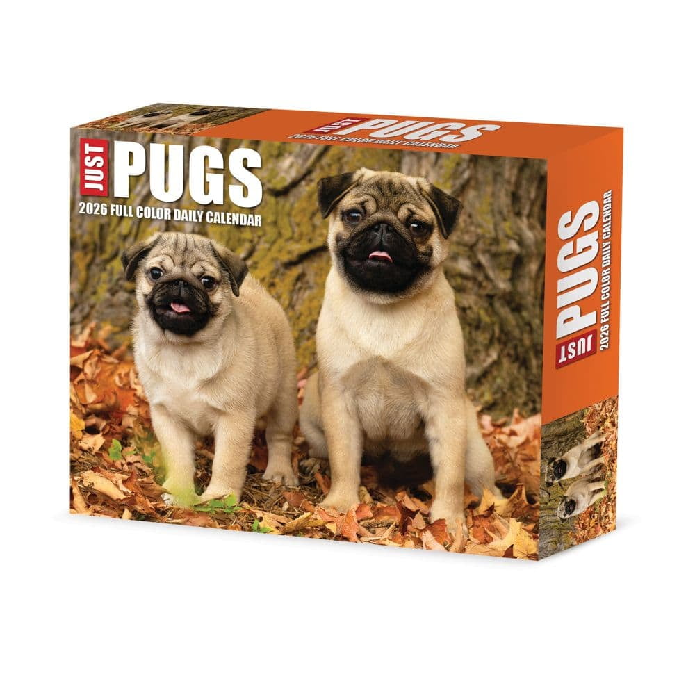Willow Creek Press, Just Pugs 2026 Desk Calendar, 6.18'' X 5.43 ...