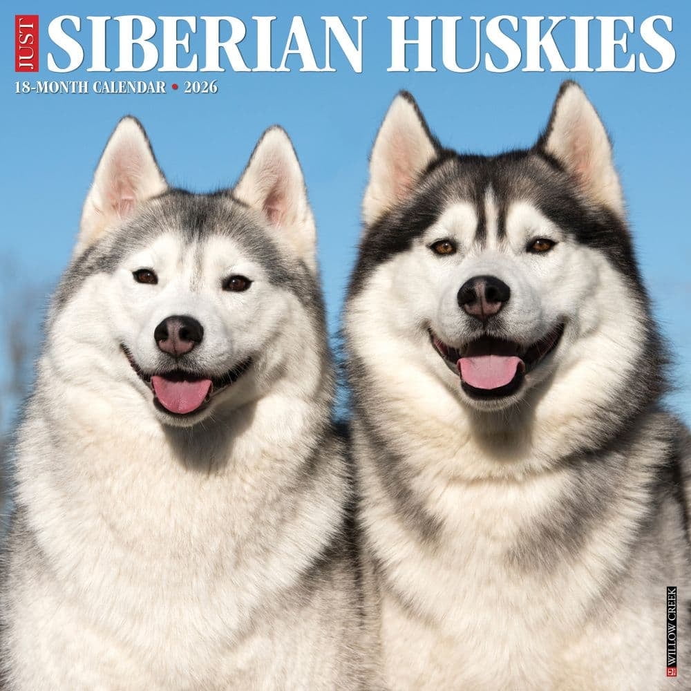 Willow Creek Press, Just Siberian Huskies 2026 Wall Calendar, 12'' X 12 ...