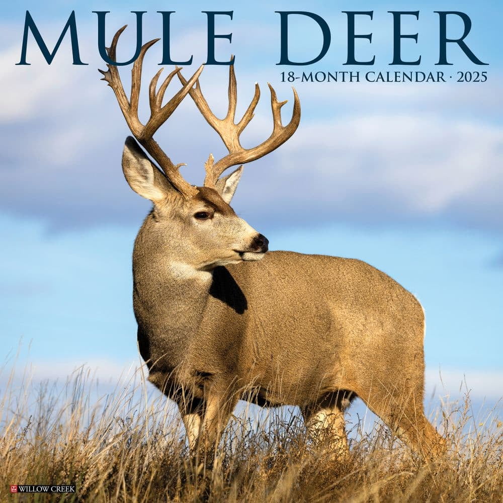 Willow Creek Press, Mule Deer 2025 Wall Calendar - Walmart.com