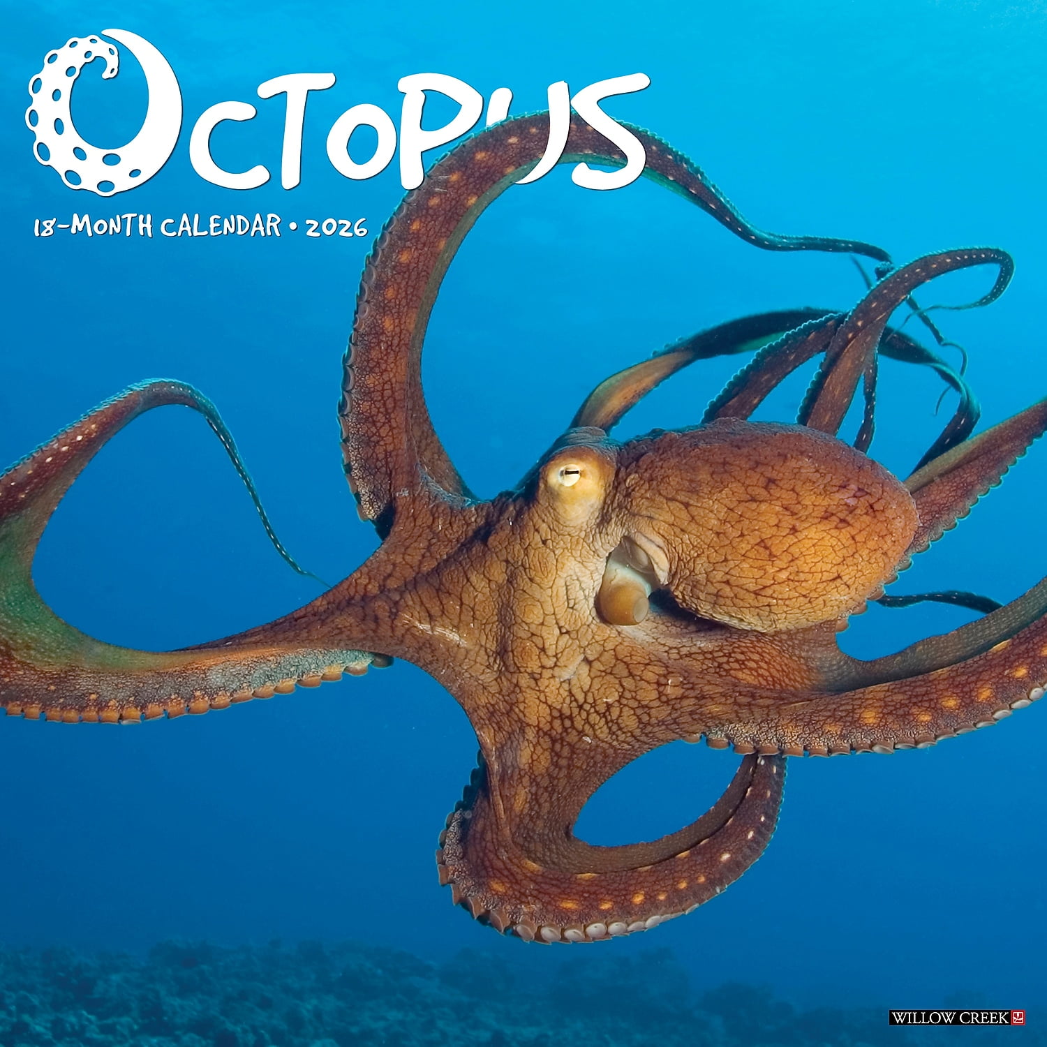 2026 Willow Creek Octopus 12" x 12" Monthly Wall Calendar (56028 ...