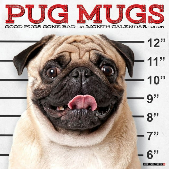 2025 Willow Creek Press Monthly Wall Calendar, 12" x 12" , Pug Mugs ...