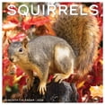 2026 Willow Creek Squirrels 12" x 12" Monthly Wall Calendar (52891 ...