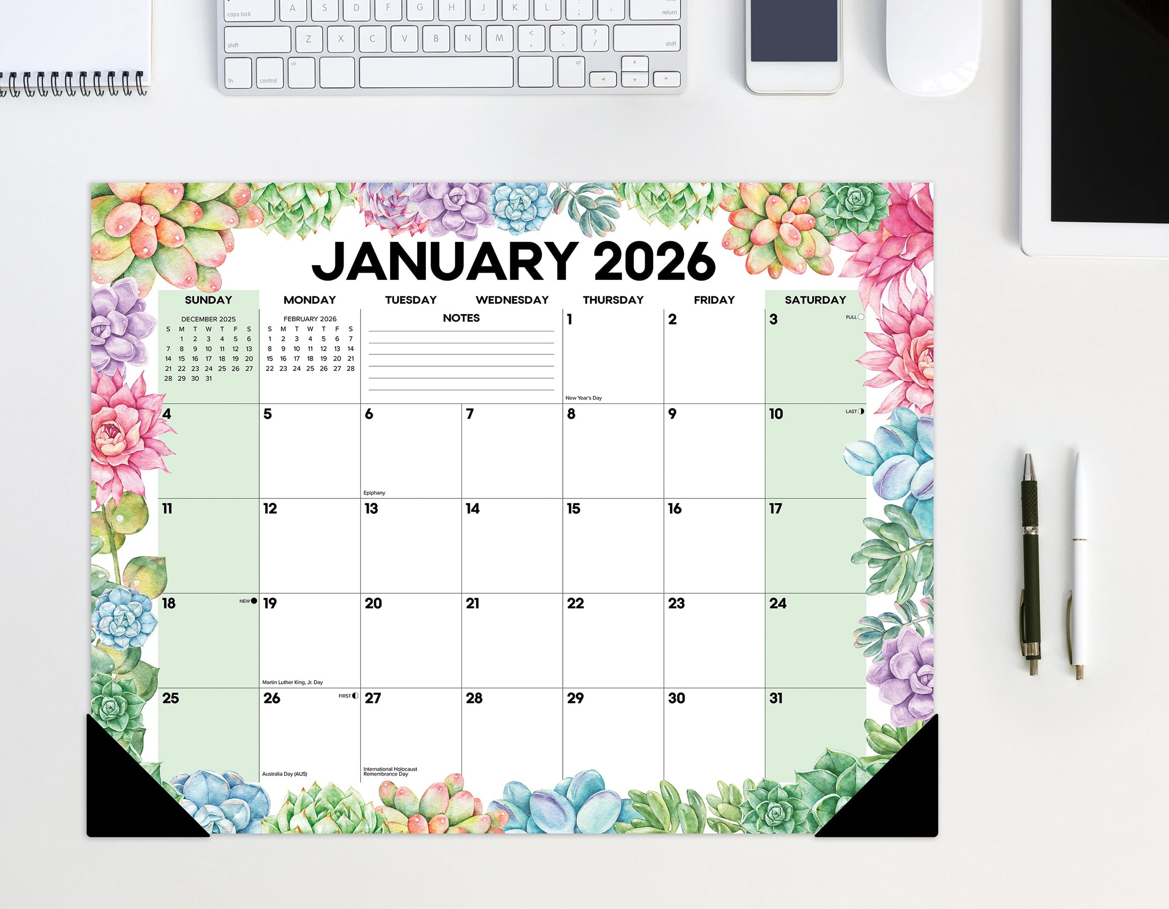 Willow Creek Press Succulents Academic July 2025 - June 2026 22" x 17 ...
