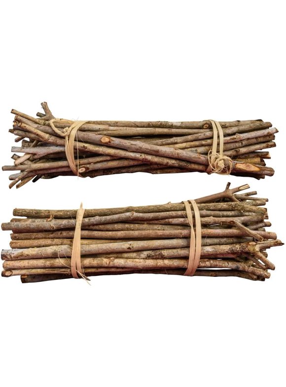 Hamster Toys in Hamsters - Walmart.com