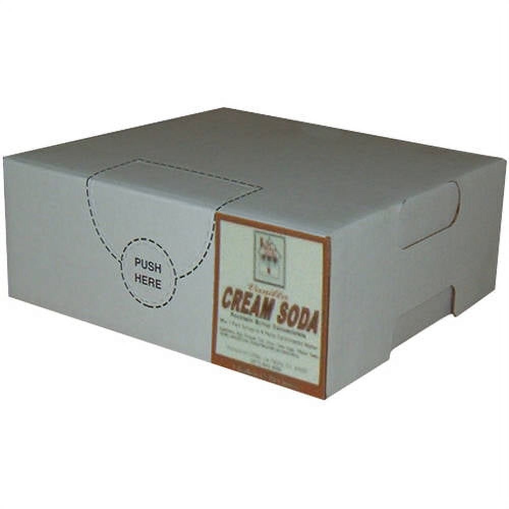 Willtec Vanilla Cream Bag in Box Soda Syrup 1 gal Twin Pack - Walmart.com
