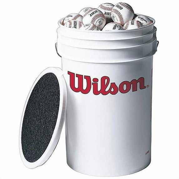 Wilson A1030 Champion Series SST Baseball, 36 Baseballs in a Bucket ...