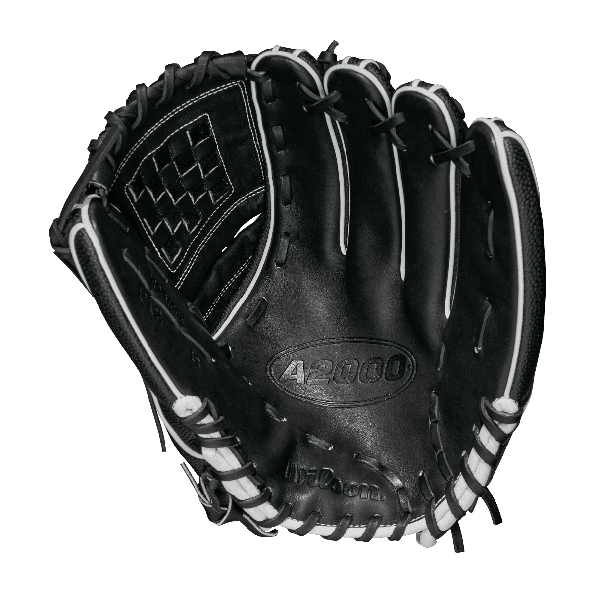 Wilson A2000 Superskin P12 12" Fastpitch Softball Glove (Wbw10021212) 2 ...