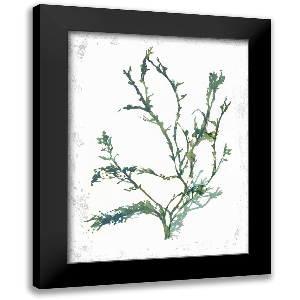 Wilson, Aimee 12x14 Black Modern Framed Museum Art Print Titled - Emerald Coral IV - Walmart.com