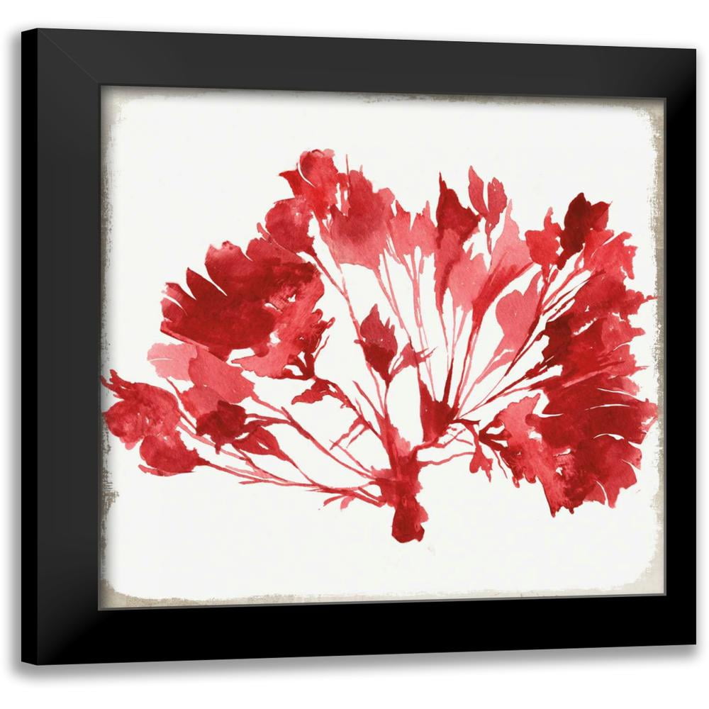 Wilson, Aimee 20x20 Black Modern Framed Museum Art Print Titled - Red ...