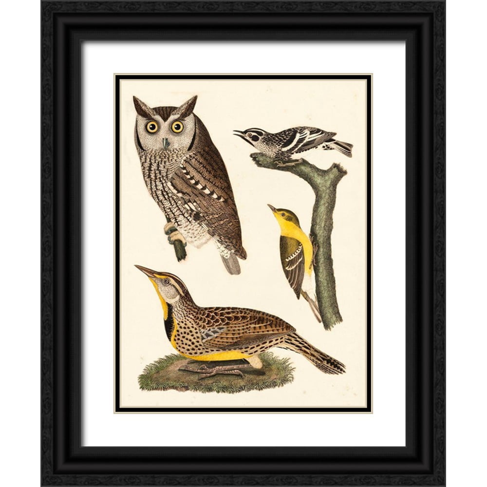 Wilson, Alexander 19x24 Black Ornate Wood Framed with Double Matting ...