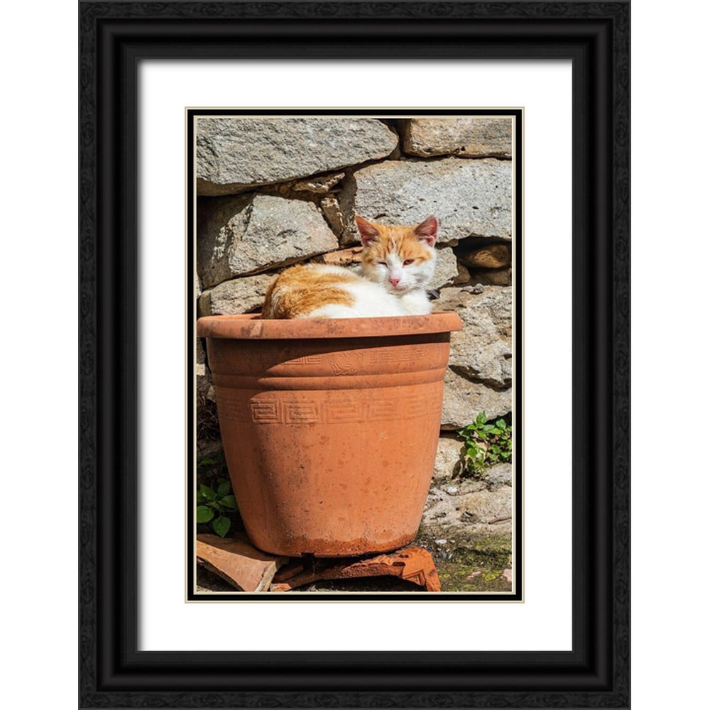 Wilson, Emily 11x14 Black Ornate Wood Framed with Double Matting Museum ...