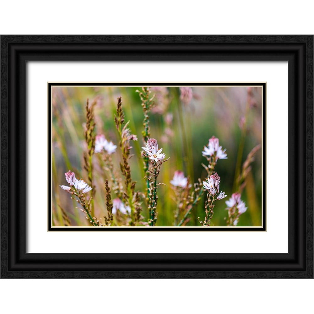 Wilson, Emily 14x11 Black Ornate Wood Framed with Double Matting Museum ...